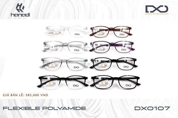 GỌNG KÍNH DXO DX107